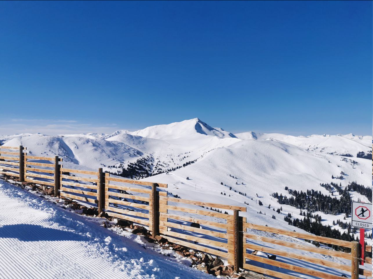 Furry Ski Weekend: A First-Timers Guide – Av.dog